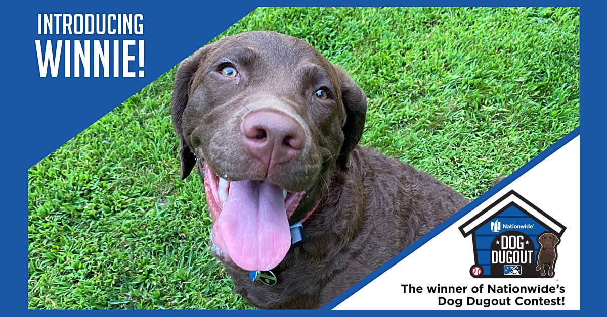 Meet the Nationwide Dog Dugout sweepstakes winner!