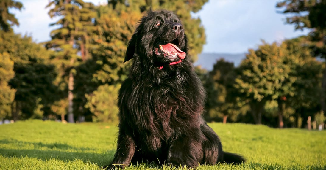 Holiday 2021