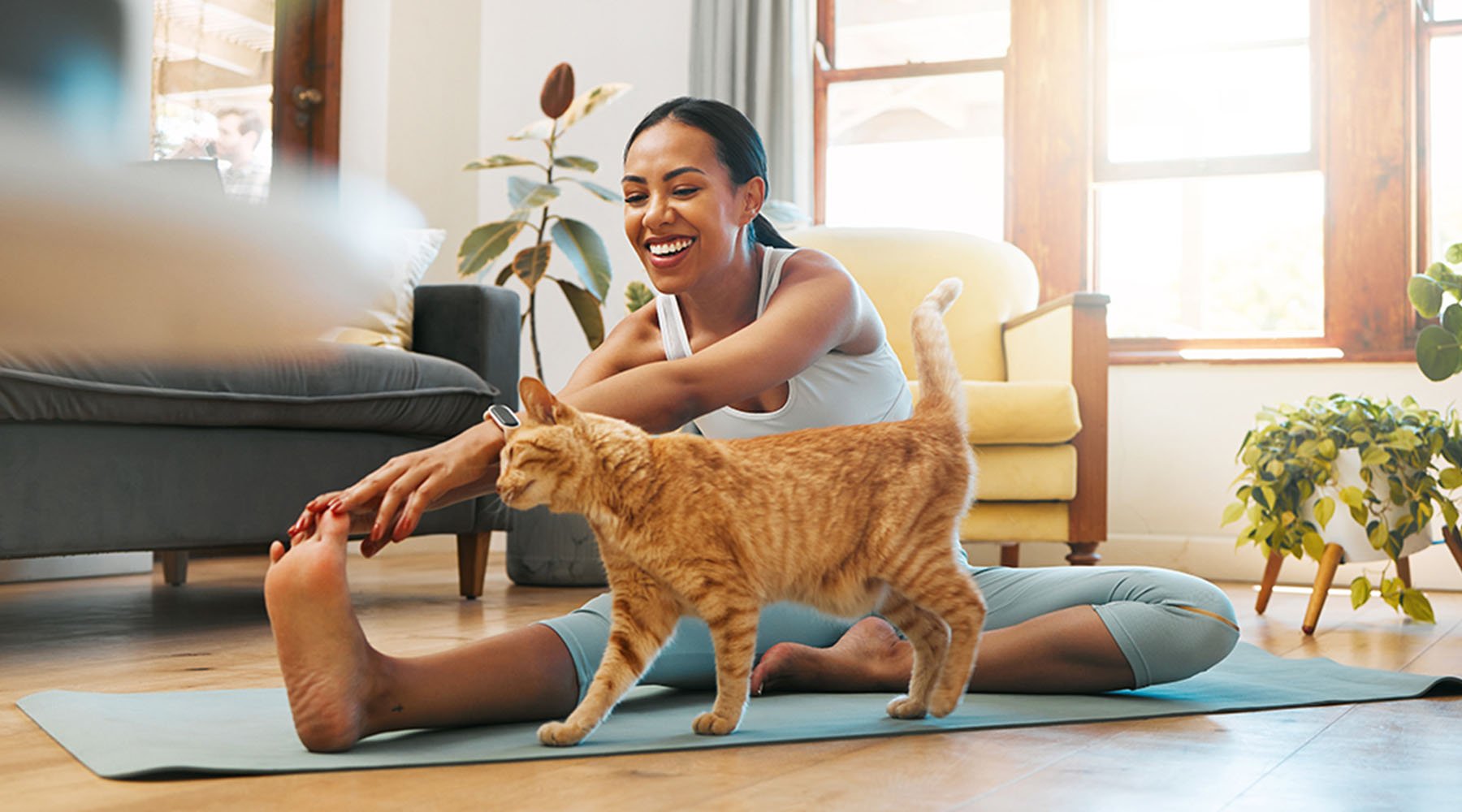 How pets help improve our physical health