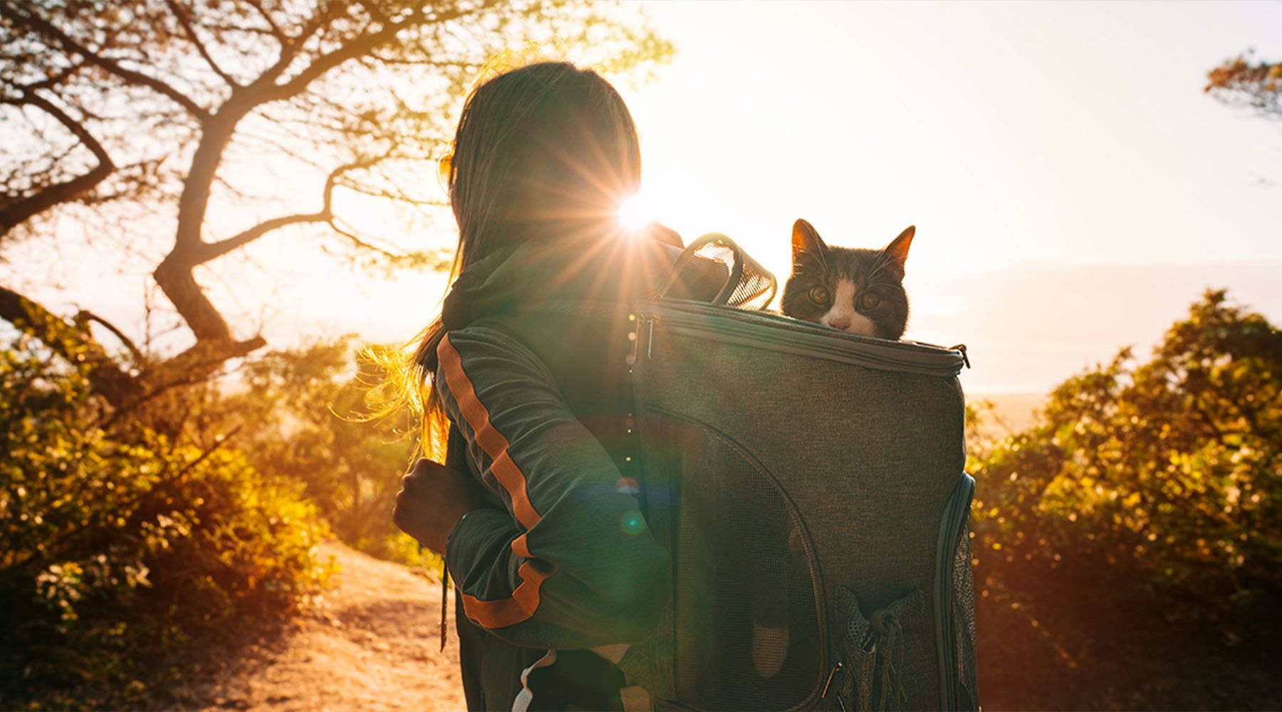 How pets help improve our physical health