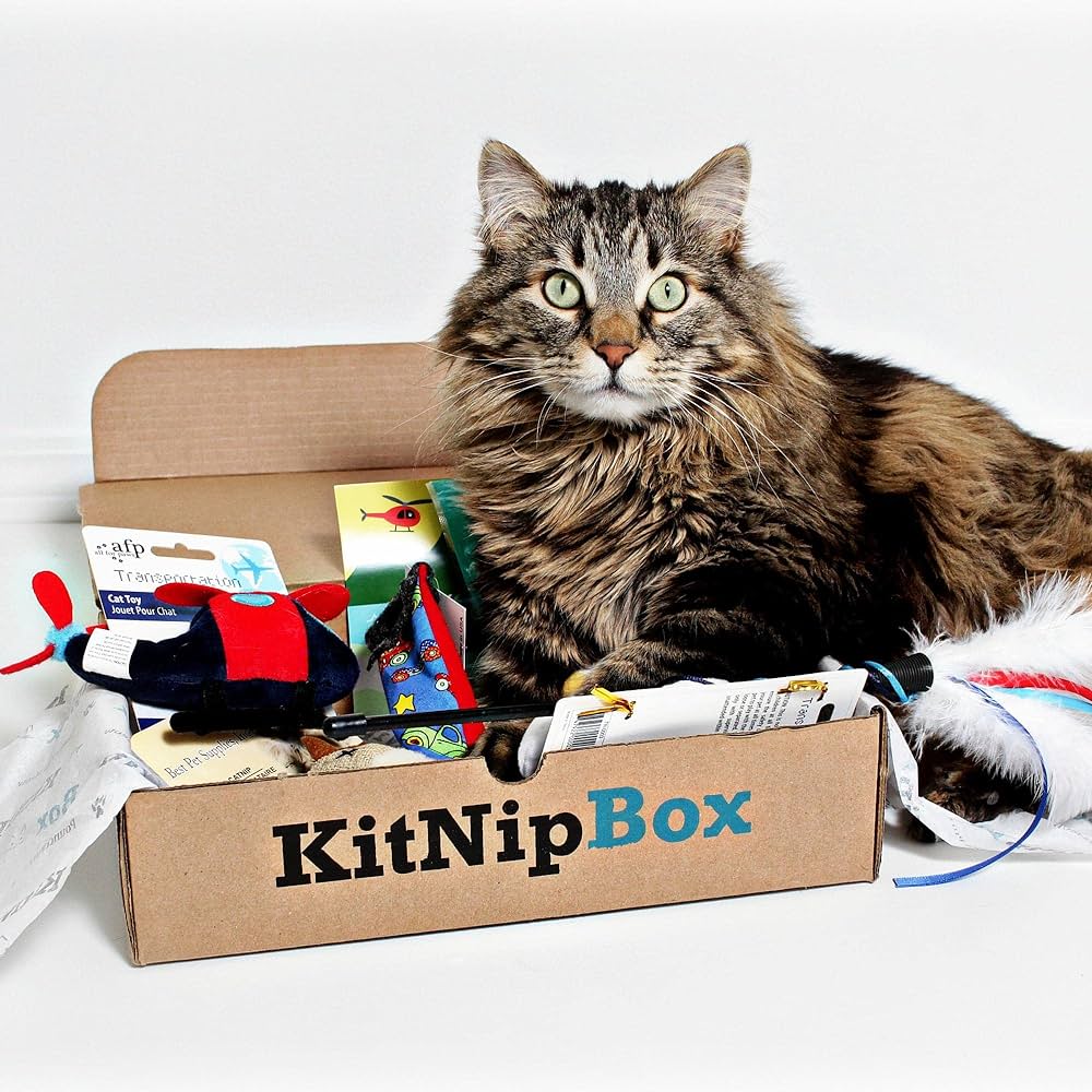 Purr-poseful impact: Cat subscription boxes from KitNipBox