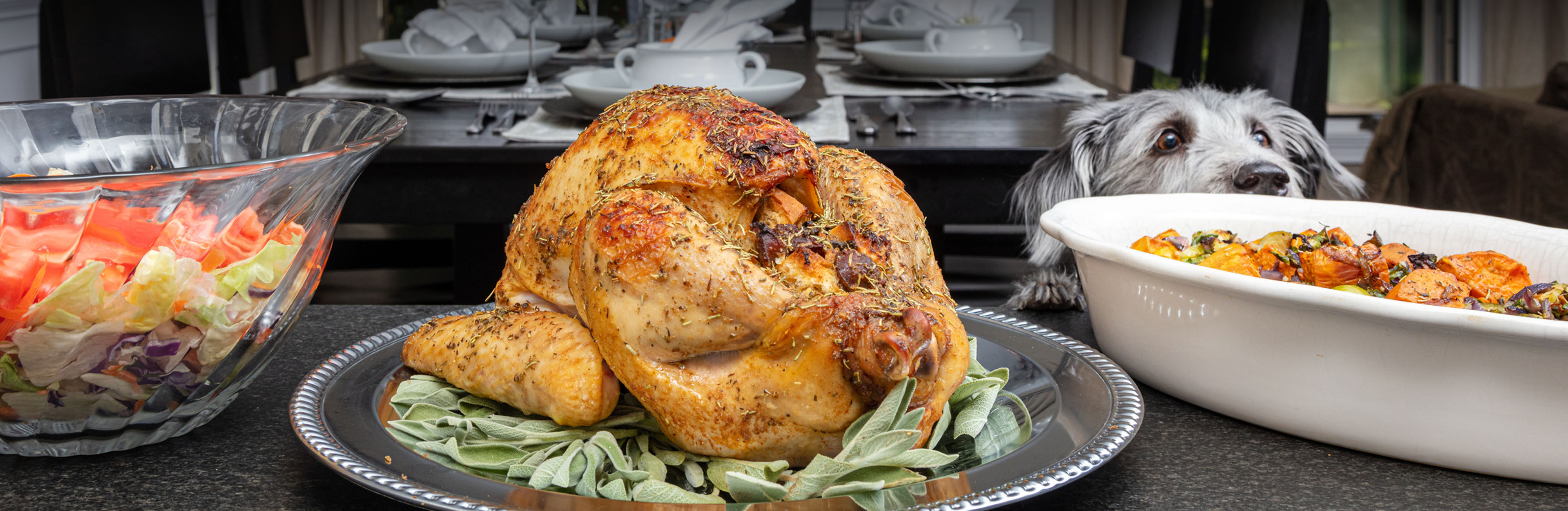 Turkey Day pet safety